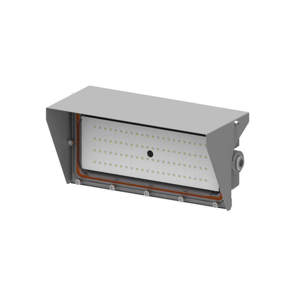 FIREFLY™ LED Hazardous Location Wall-Pack Light - GRINSAFE